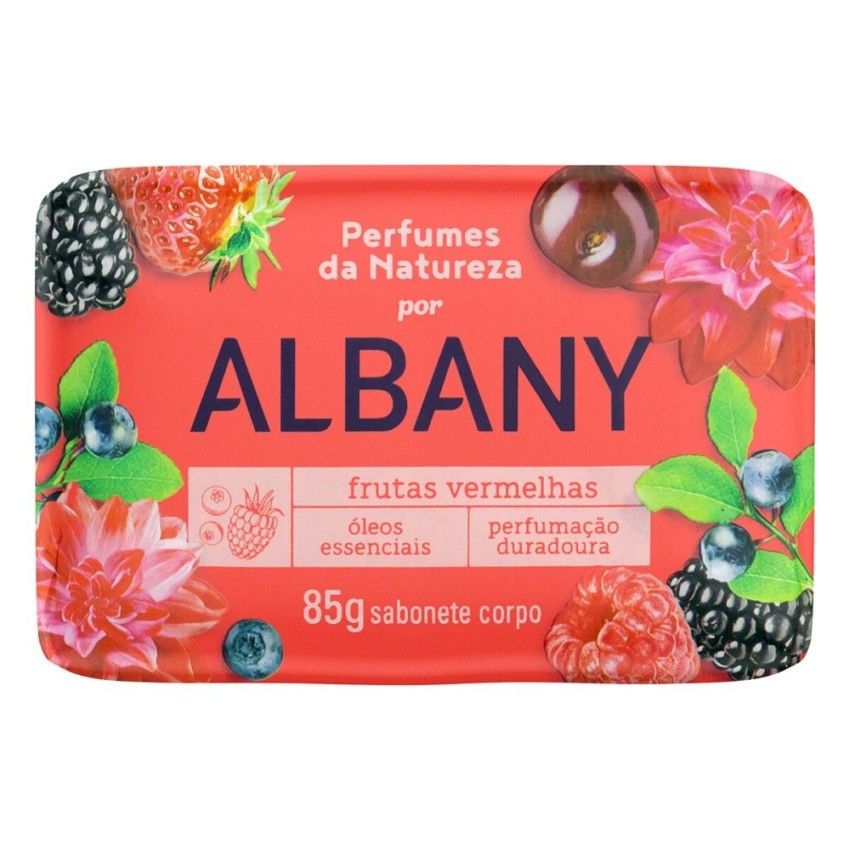 SAB ALBANY BARRA FRUTAS VERMELHAS 85GR, KIT 12 UN - Tozzo Alimentos Ltda